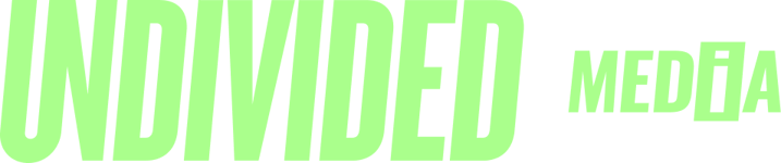 Digital Marketing Agency with Guaranteed ROI | UNDIVIDED