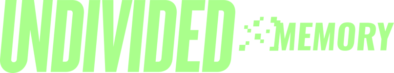 Digital Marketing Agency with Guaranteed ROI | UNDIVIDED